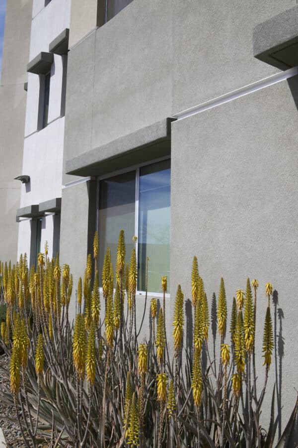 Achieve Your Vision with Flannery Trim